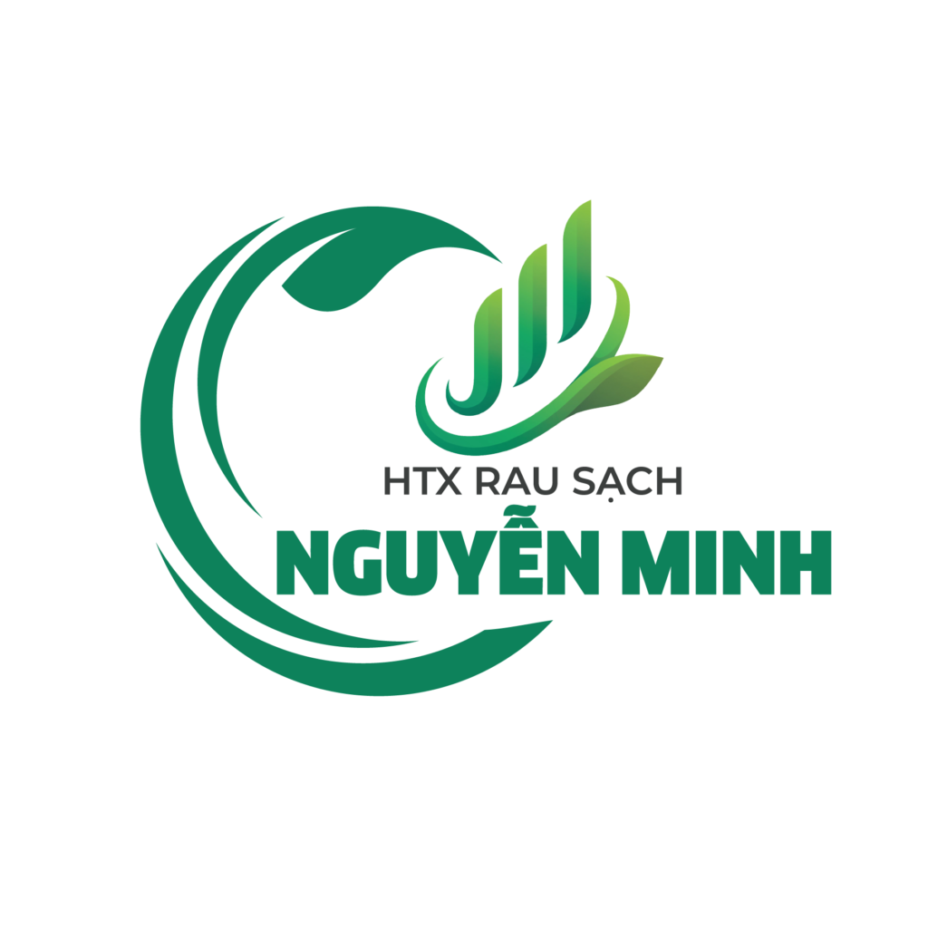 HTX Rau Sạch Nguyễn Minh | Rau Củ Quả Đà Lạt VietGAP